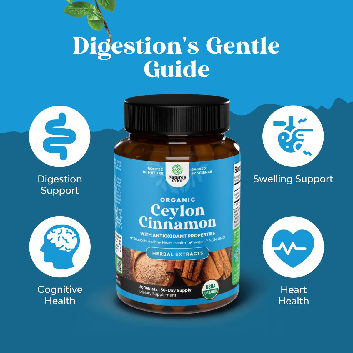 Natural Ceylon cinnamon capsules
