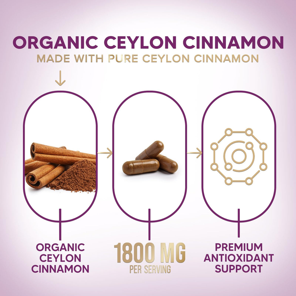 natural ceylon cinnamon health benefits