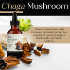 natural chaga extract for immunity
