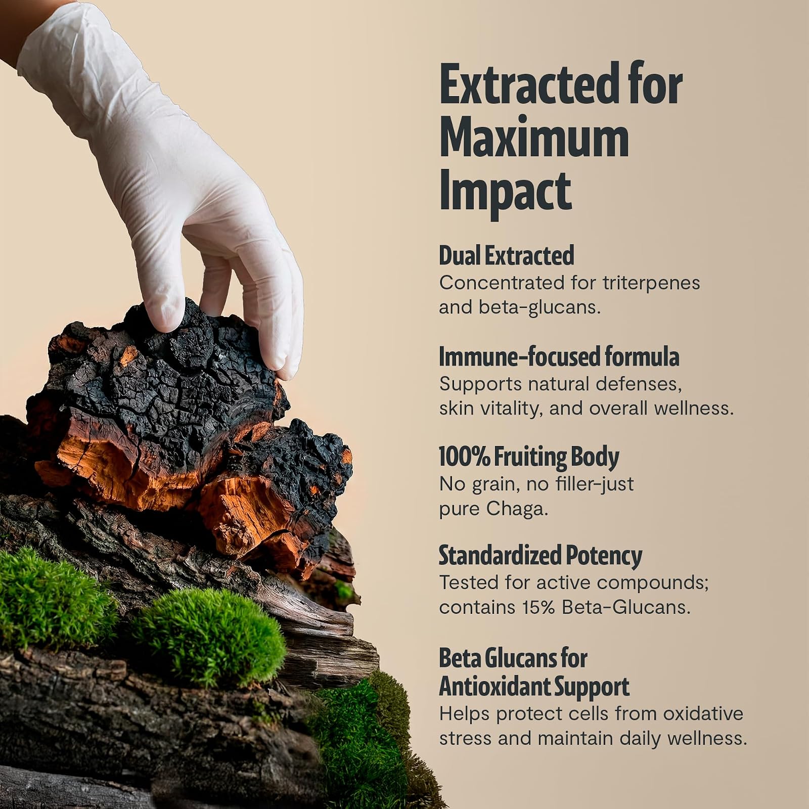 natural chaga extract for wellness