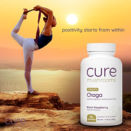 natural chaga gummies for vitality