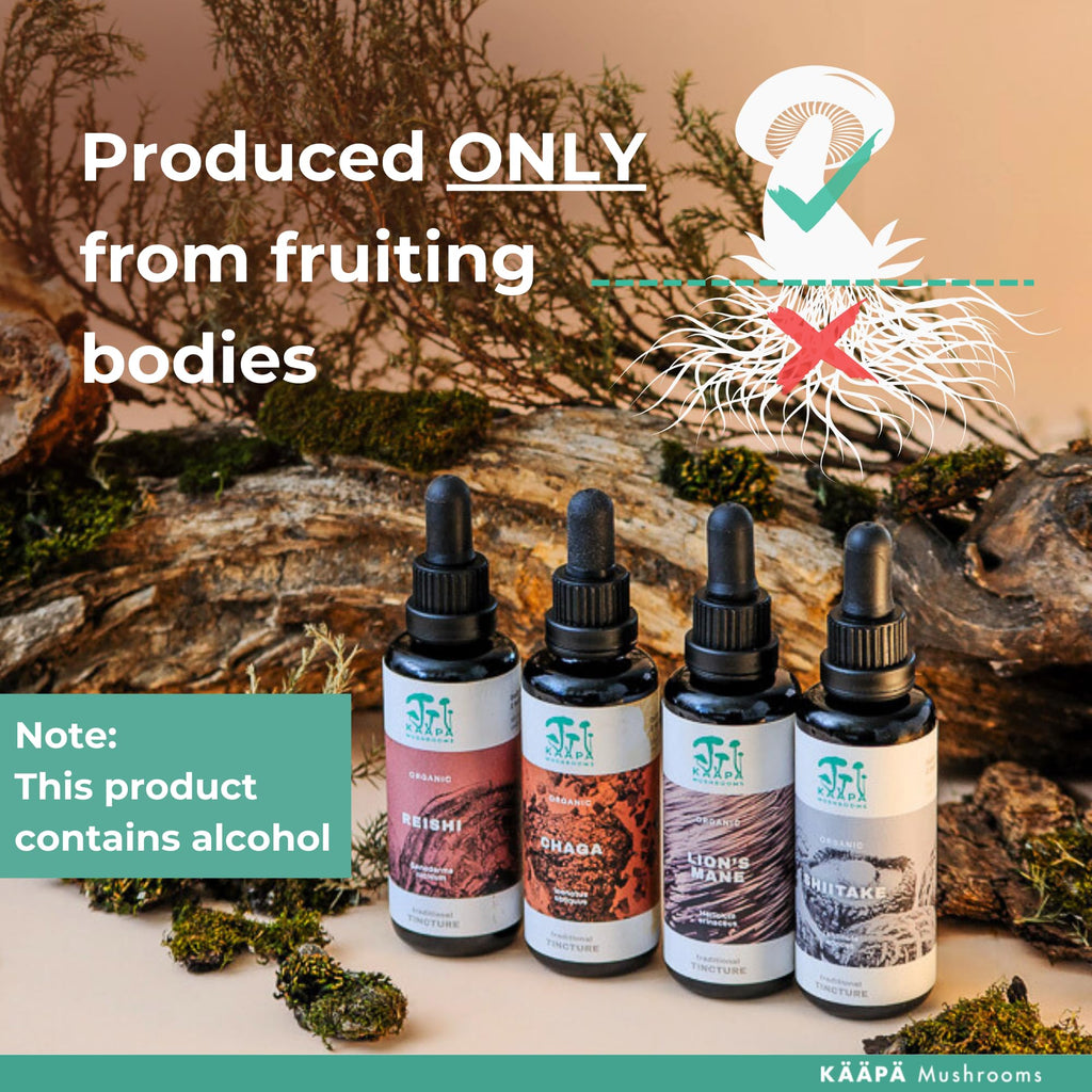 Natural chaga mushroom extract for immunity