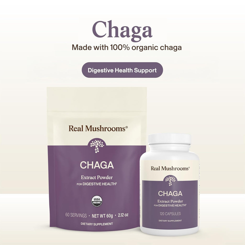 natural chaga mushroom supplement 500 mg