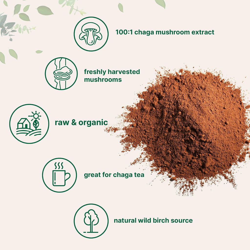 natural chaga mushroom supplement powder