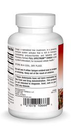 natural chaga mushroom supplement