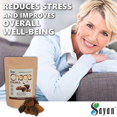 natural chaga mushroom supplement