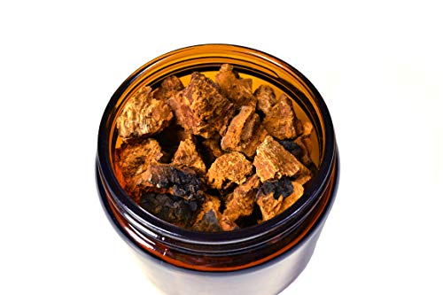natural chaga mushrooms for immunity