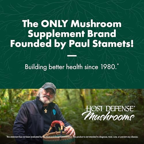 natural chaga supplement for wellness