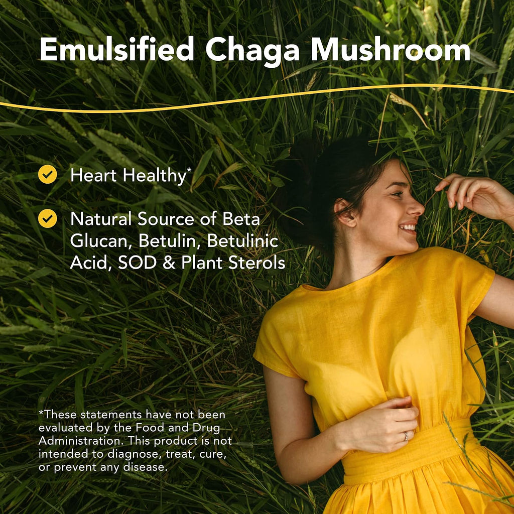 natural chaga supplement for wellness