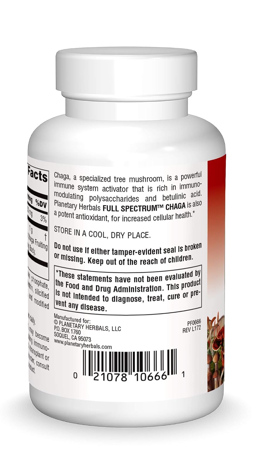 natural chaga supplement for wellness
