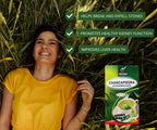 natural Chancapiedra herbal detox tea