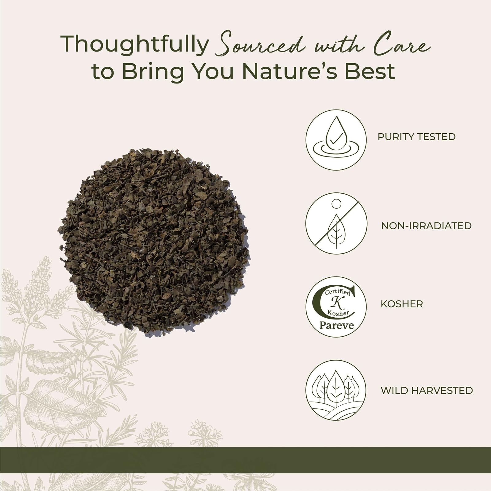 natural chaparral leaf health benefits