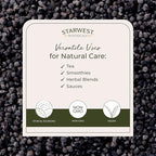 natural chaste tree berry benefits