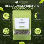 natural chasteberry infusion benefits