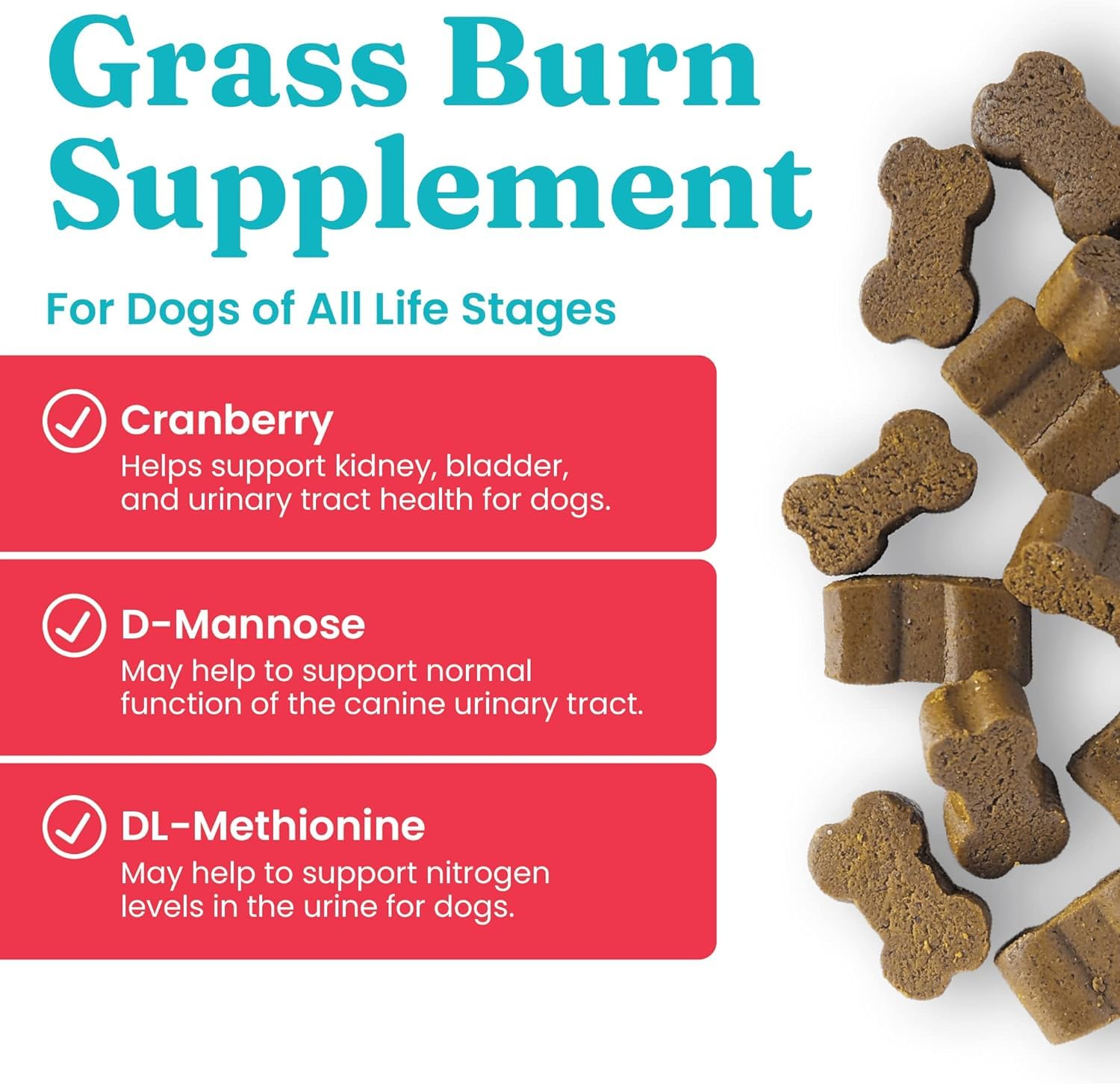 natural chews for canine wellness