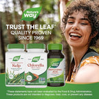 natural chlorella for daily nutrition