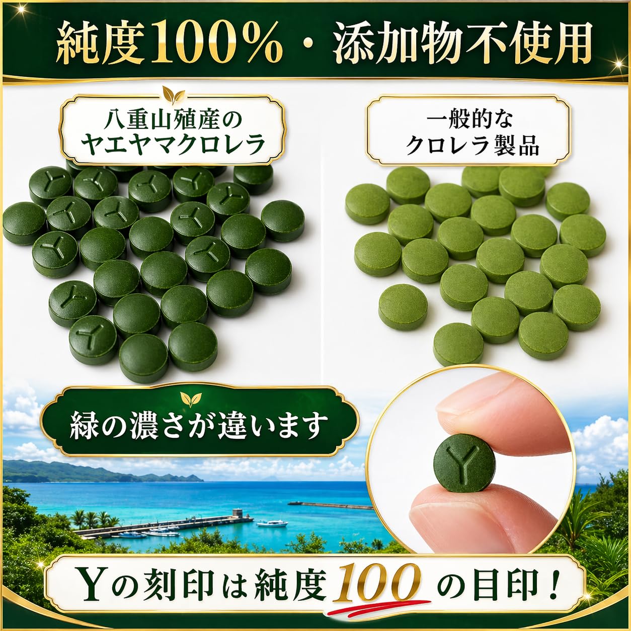 Natural chlorella for immune support