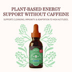 natural chlorophyll concentrate for detox