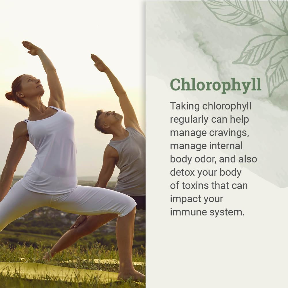natural chlorophyll for detoxification