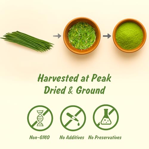 natural chlorophyll supplement for vitality