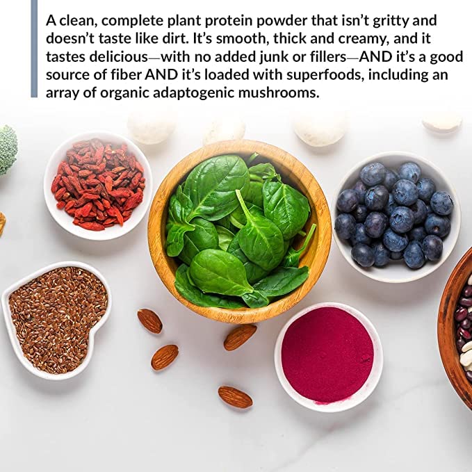 natural chocolate flavour plant protein