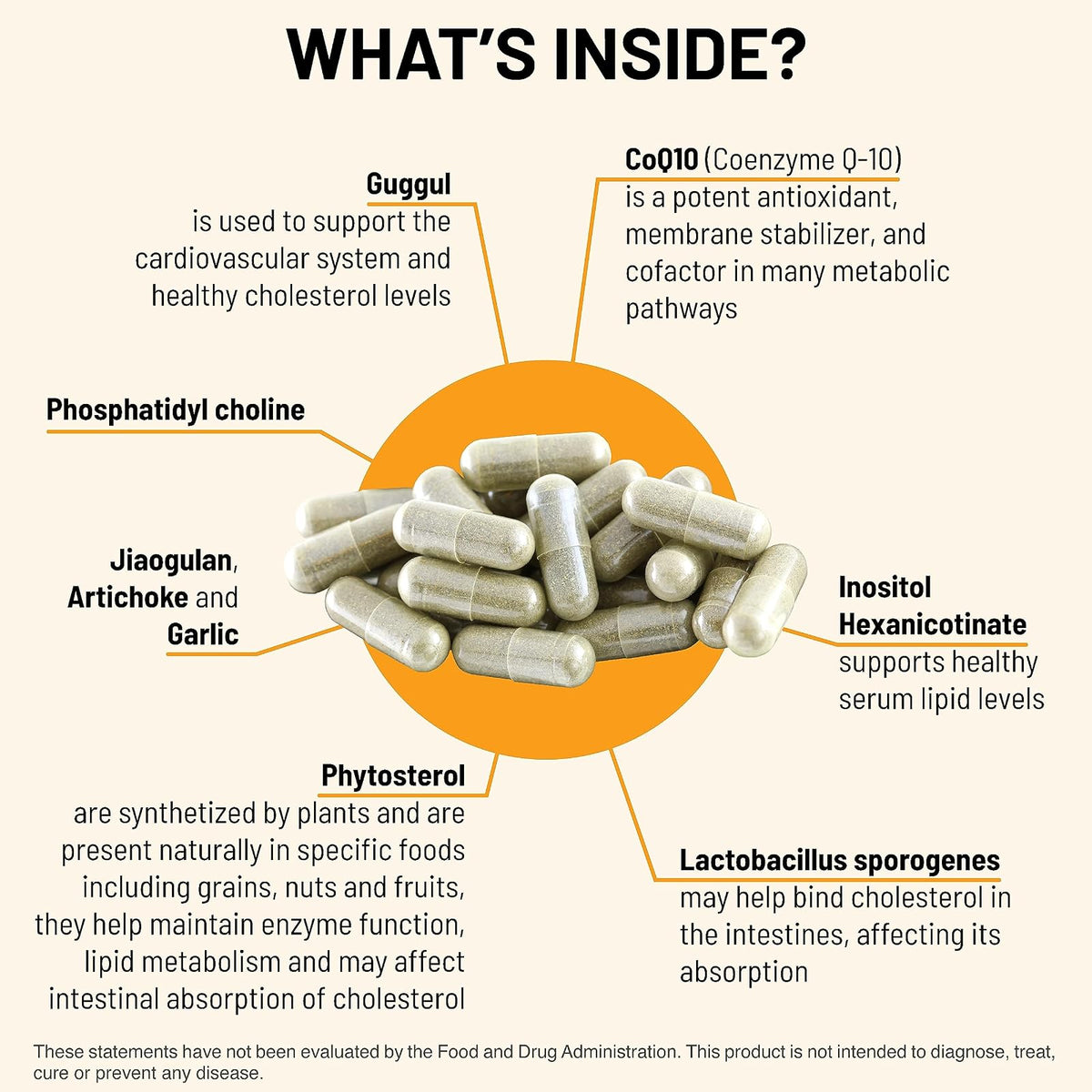 Natural cholesterol management formula