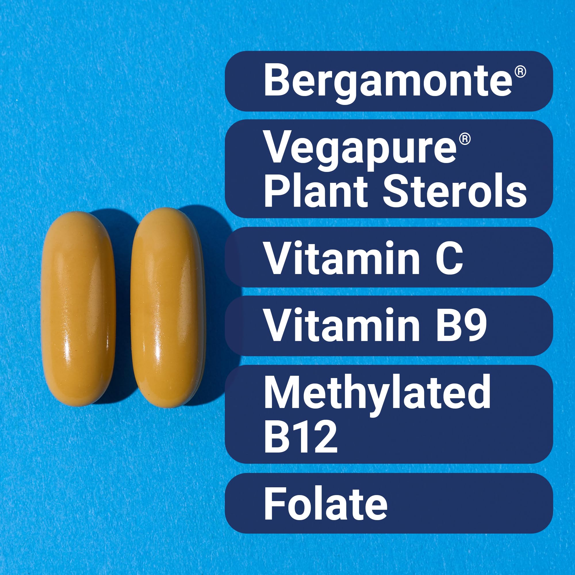 natural cholesterol management solution