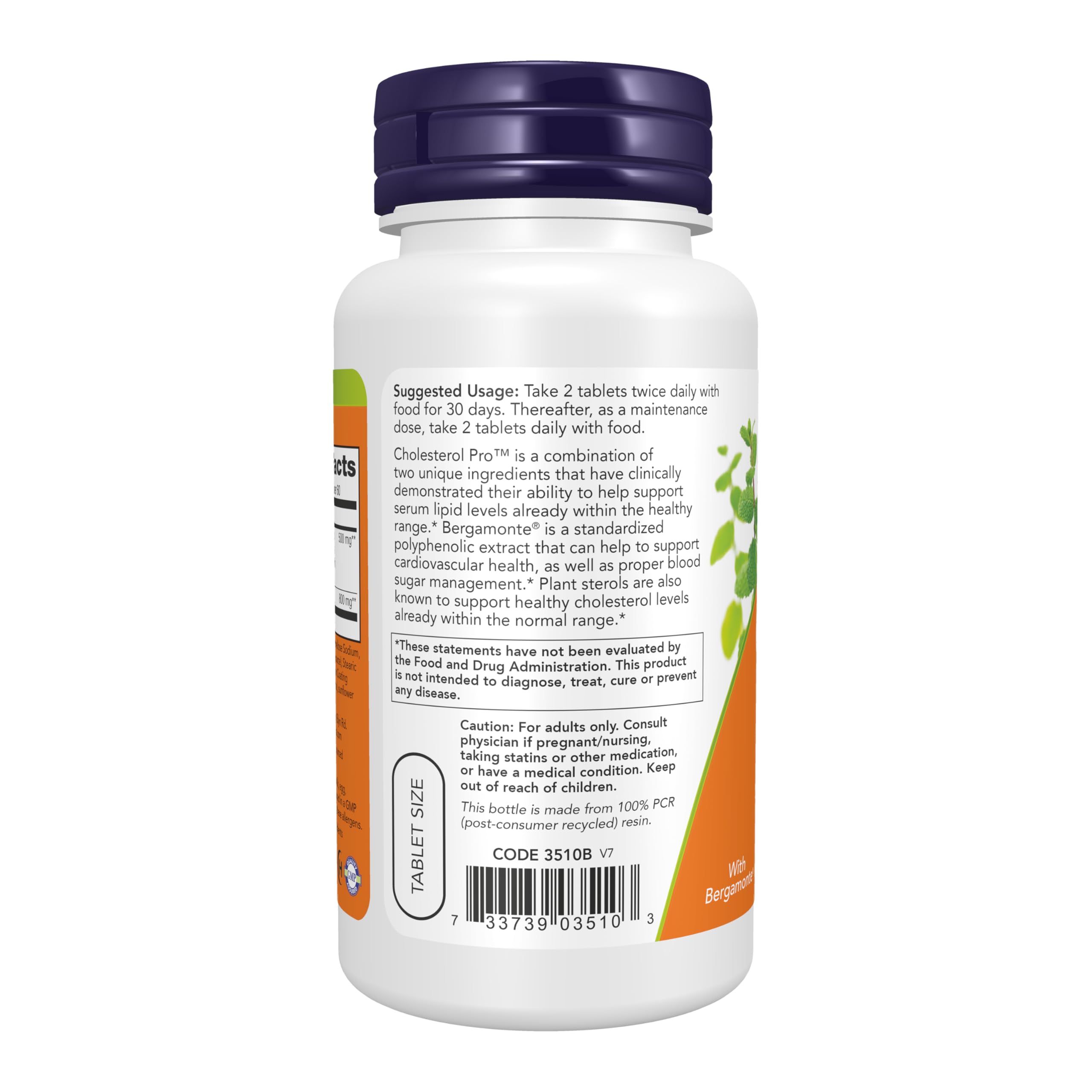 natural cholesterol management tablets