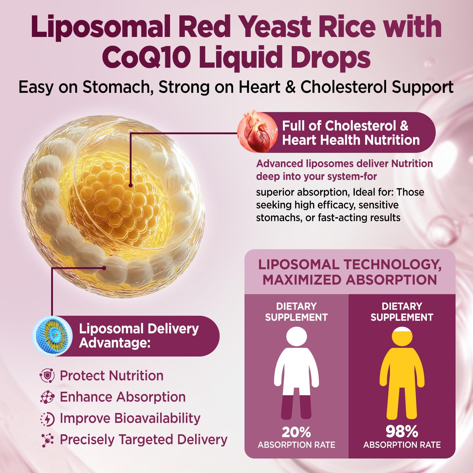 Natural cholesterol support formula