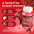 natural cholesterol support gummies