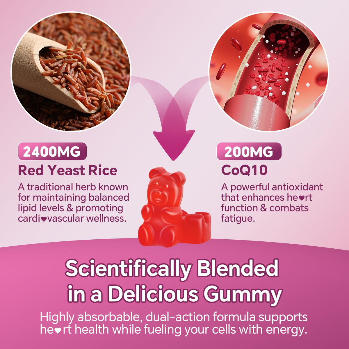 natural cholesterol support gummies