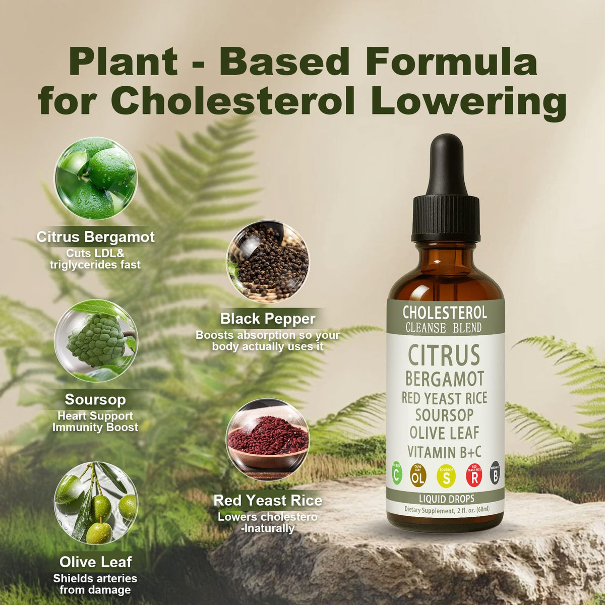 Natural cholesterol support supplement