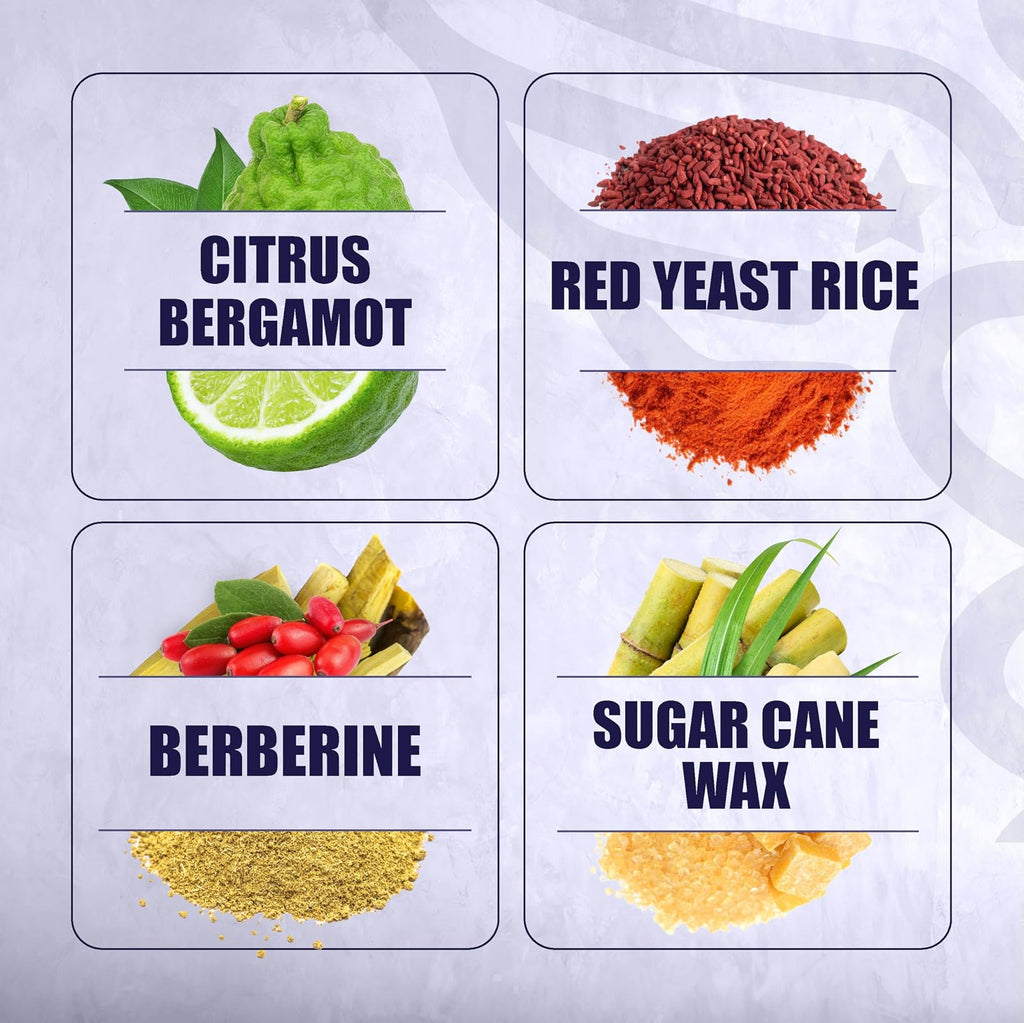 Natural cholesterol support supplement