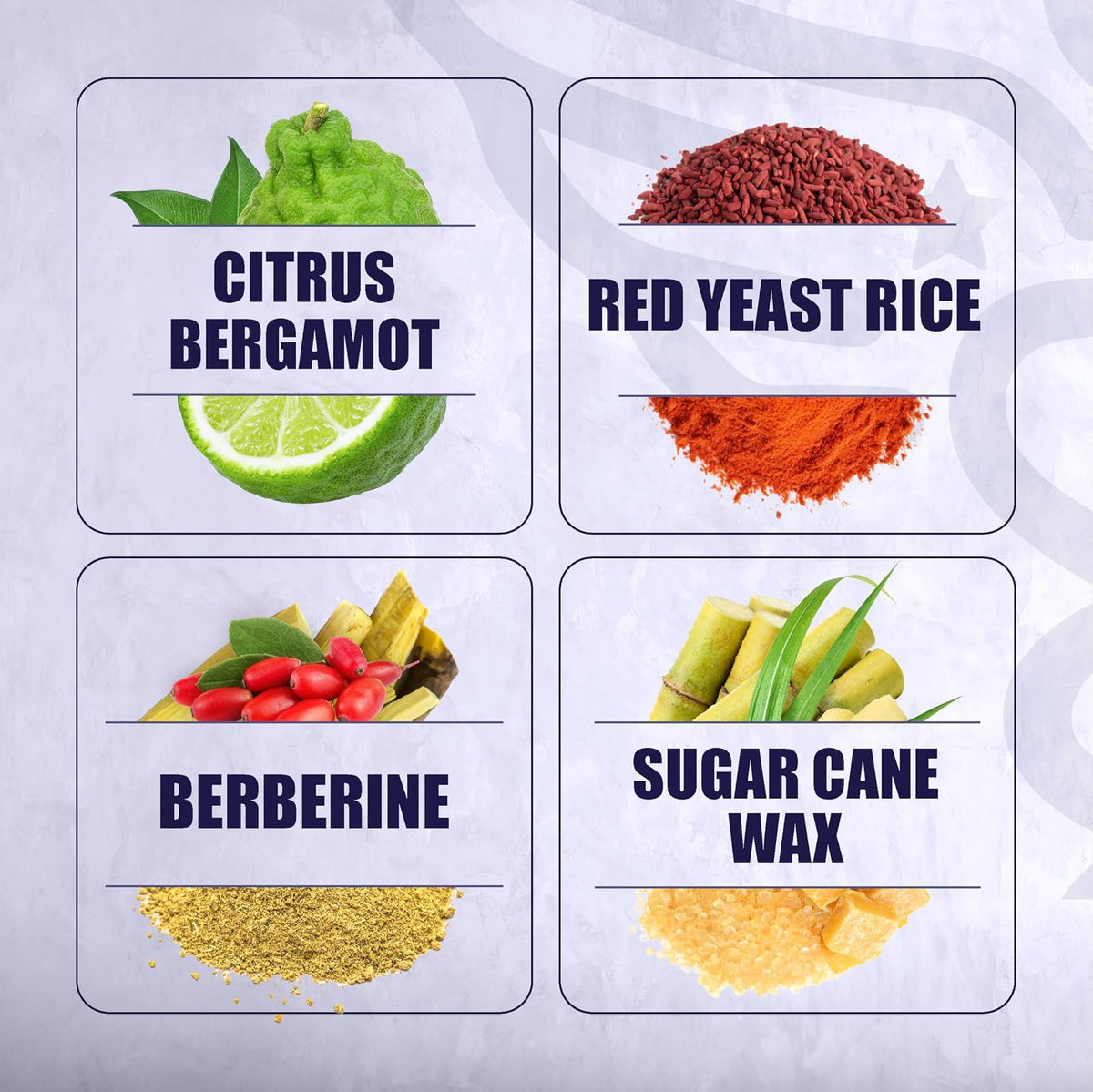 Natural cholesterol support supplement