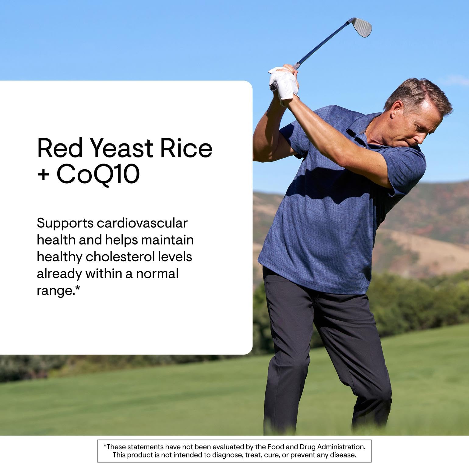 natural cholesterol support with CoQ10
