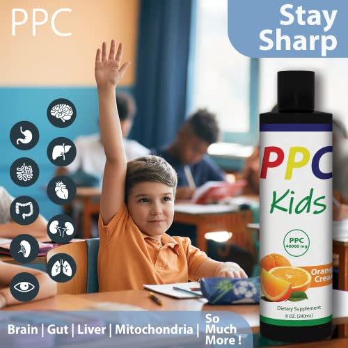 natural choline source for energy