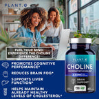 Natural choline source for improved focus