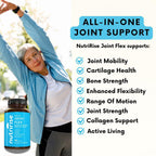 natural chondroitin supplement for mobility
