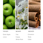 natural cinnamon oil for aromatherapy