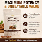 natural cinnamon supplement for digestion