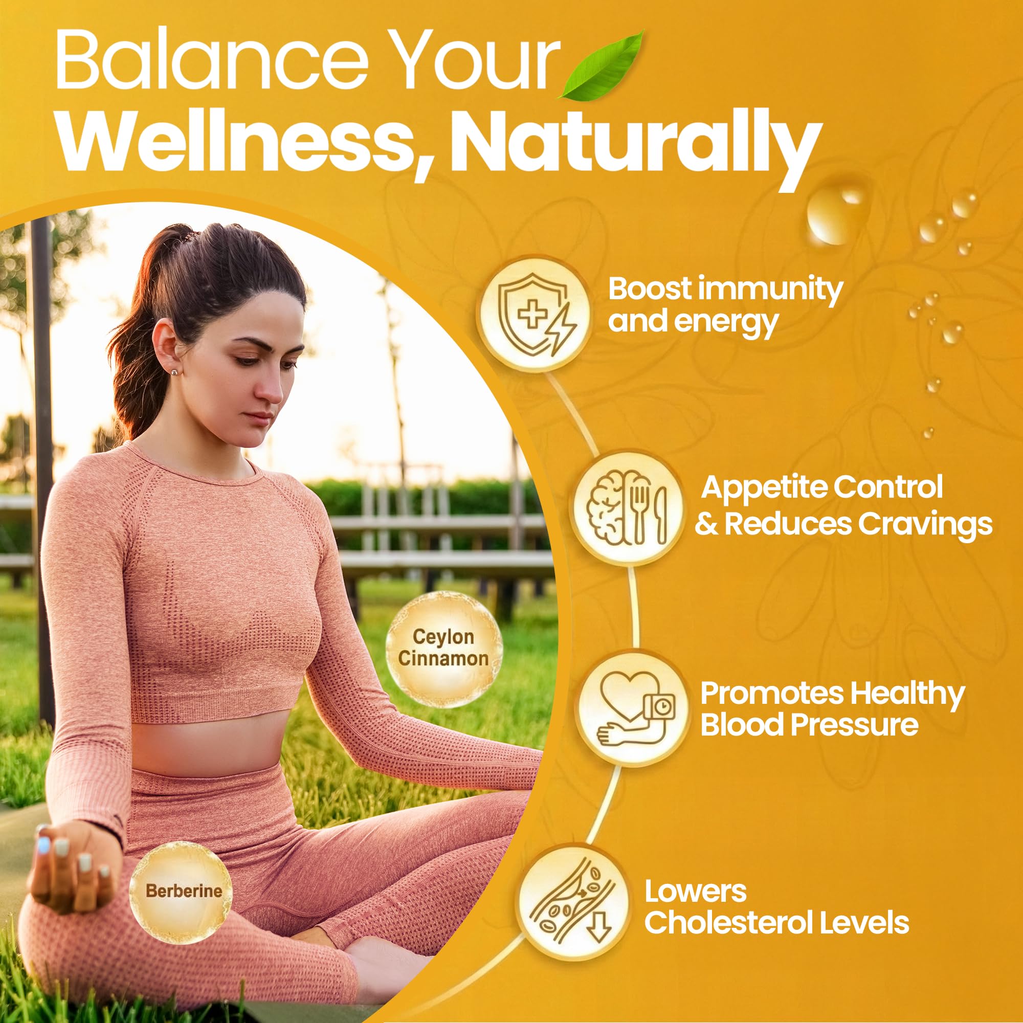 Natural cinnamon supplement for digestion