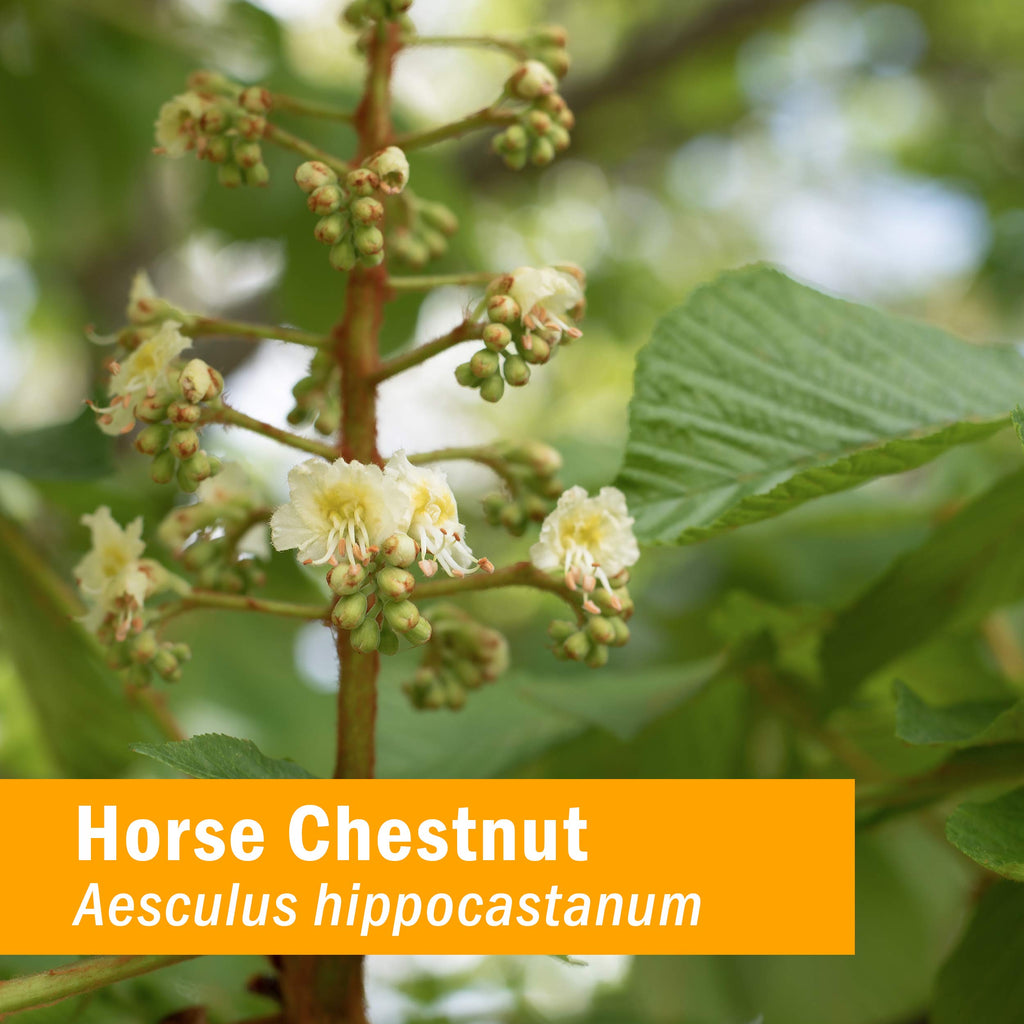 natural circulation booster drops