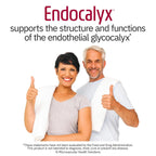 Natural circulation booster Endocalyx supplement