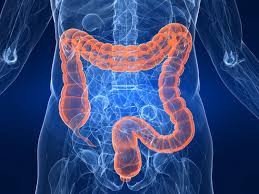 natural cleanse for digestive health
