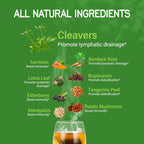 natural cleavers herb infusion