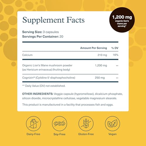natural cognitive boost from mushrooms