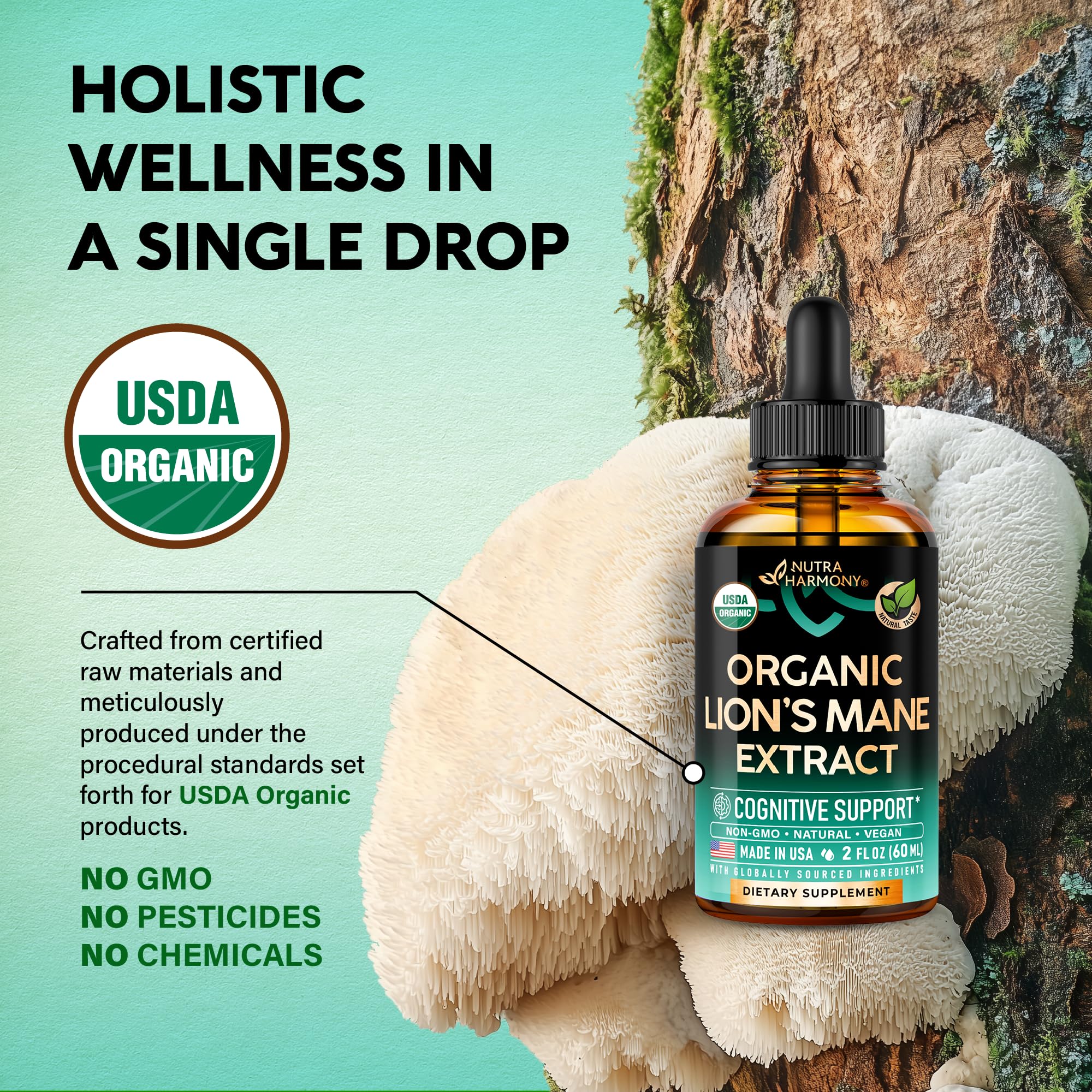 natural cognitive booster mushrooms