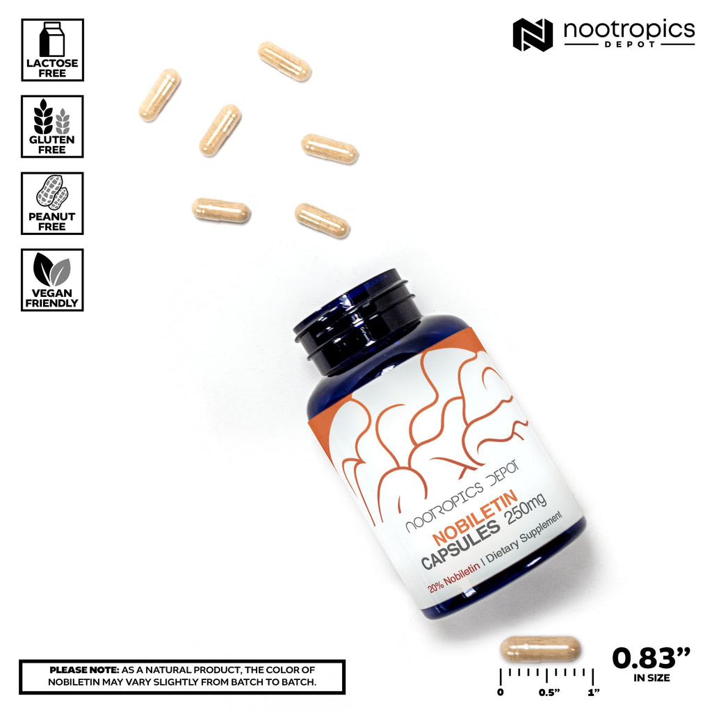 natural cognitive booster Nootropics Depot