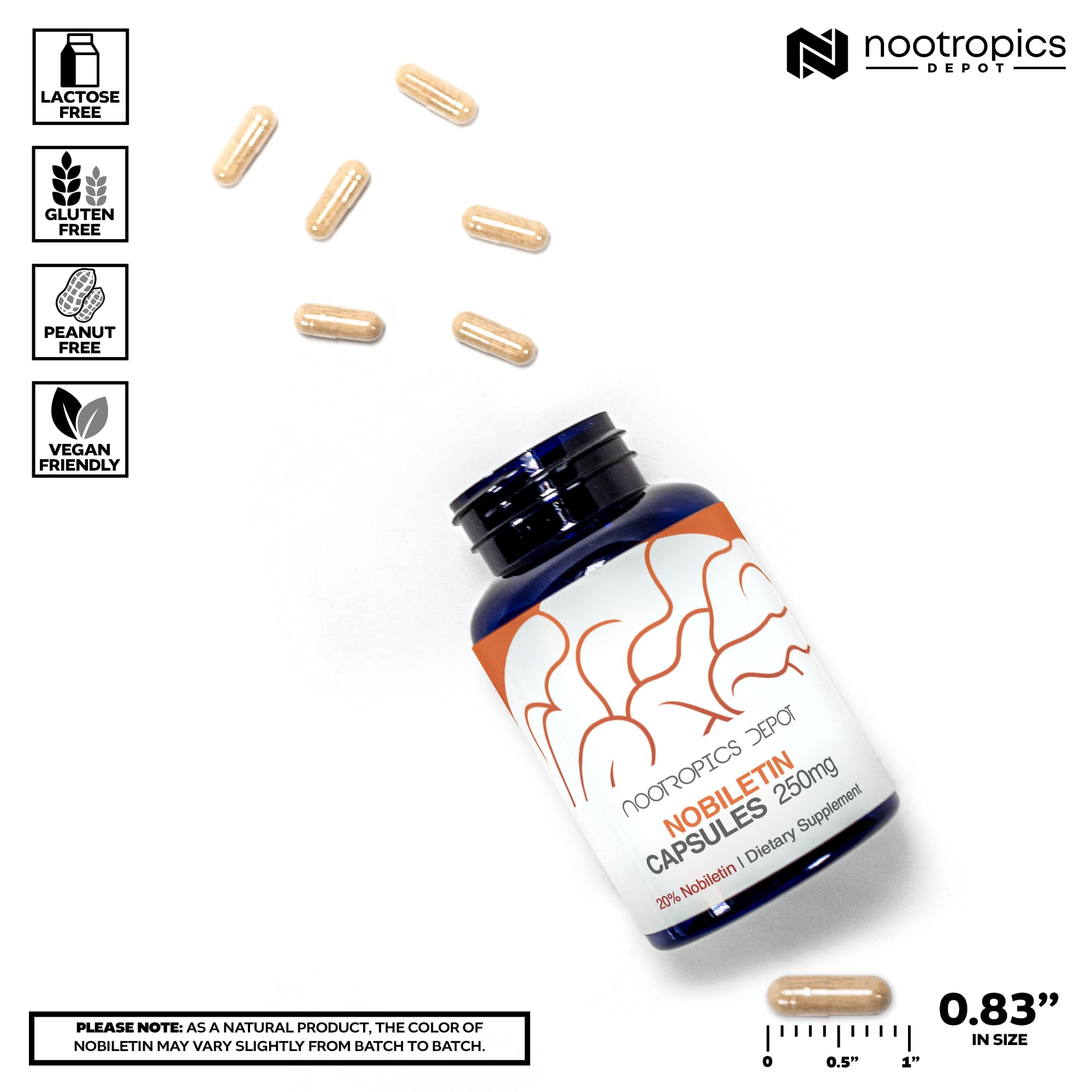 natural cognitive booster Nootropics Depot
