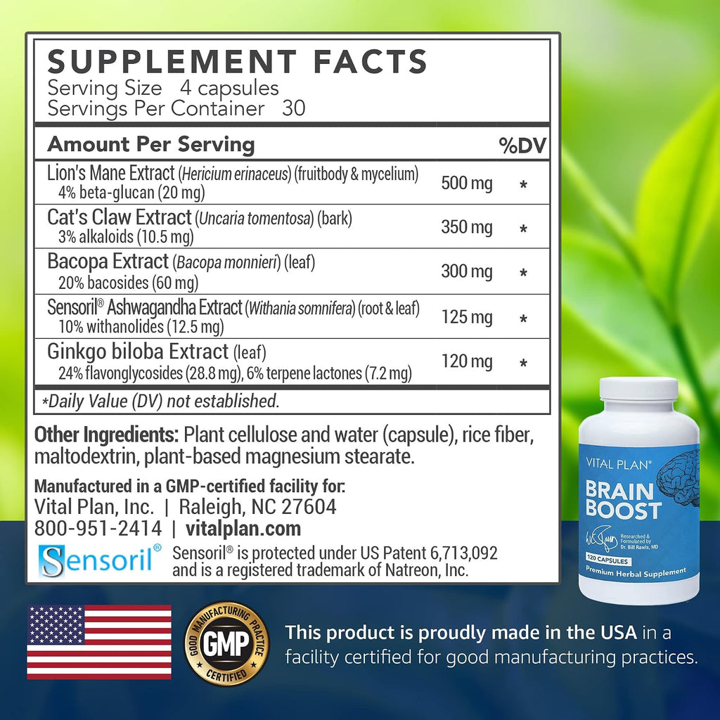 natural cognitive enhancement ginkgo biloba